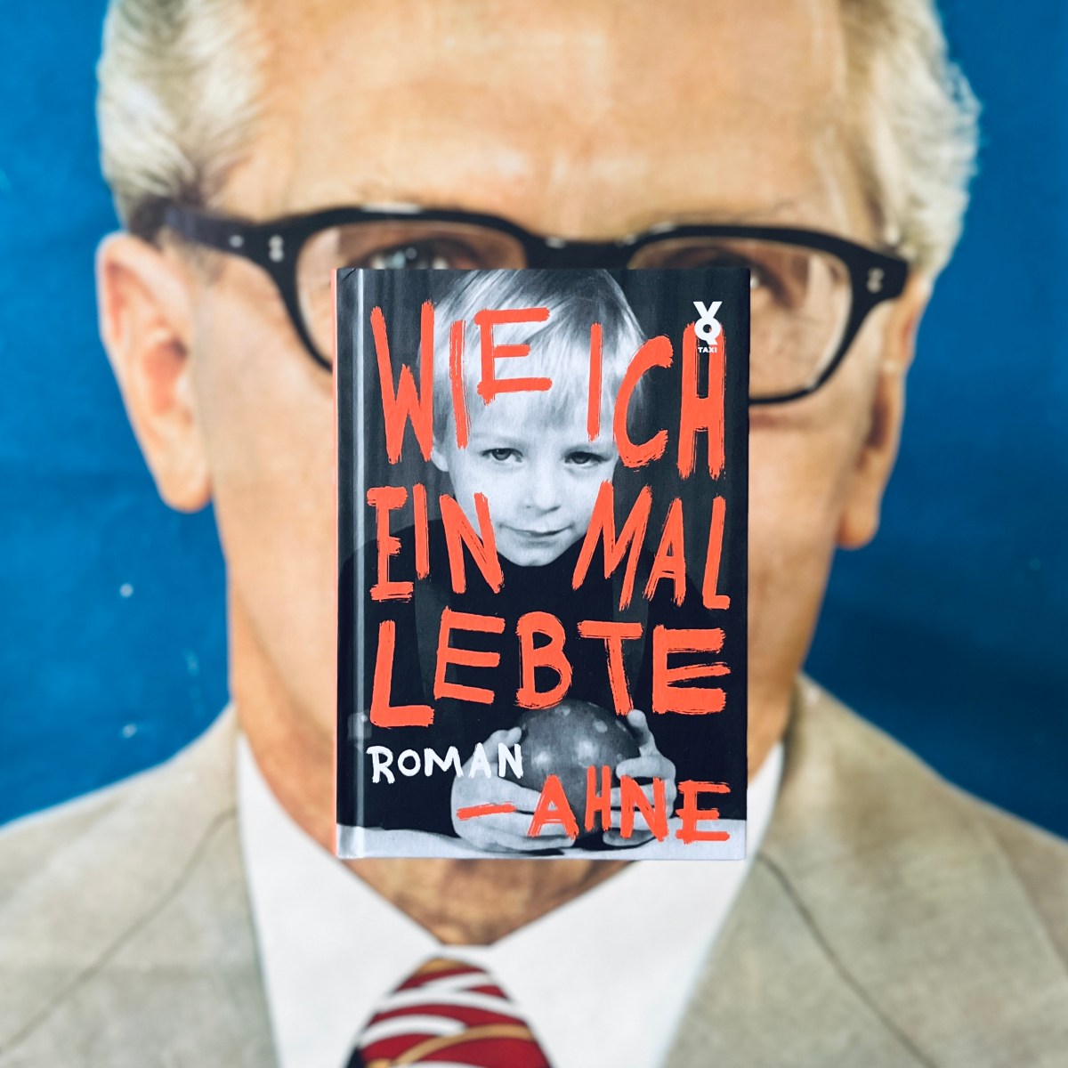 ‚Wie ich einmal lebte‘ von Ahne – Kuhle Bücher